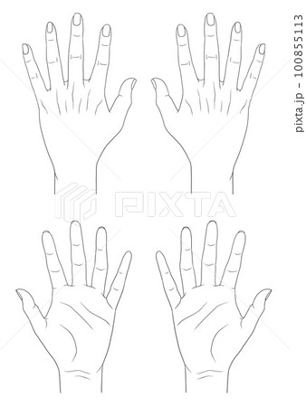 シェーマ（両手の表と裏）のイラスト素材 [100855113] - PIXTA