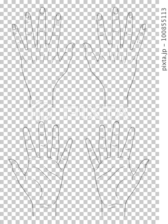 Schema (front and back of both hands) - Stock Illustration [100855113 ...