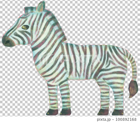 しまうまのイラスト素材 [100892168] - PIXTA