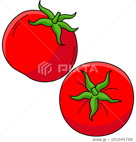 Tomato Fruit Cartoon Colored Clipart Illustrationのイラスト素材 [101045709 ...