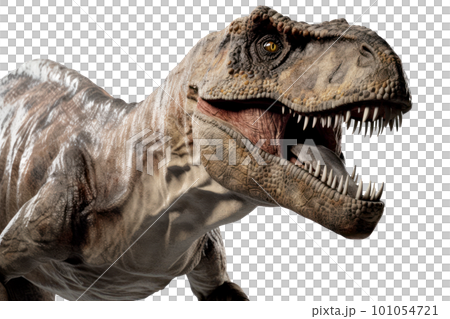 T-Rex dinosaur isolated on transparent... - Stock Illustration ...
