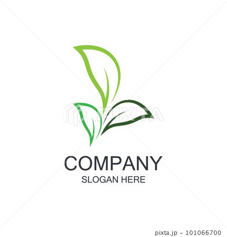 Tree leaf symbol vector icon illustrationのイラスト素材 [101066700] - PIXTA