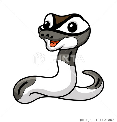 cute ball python drawing