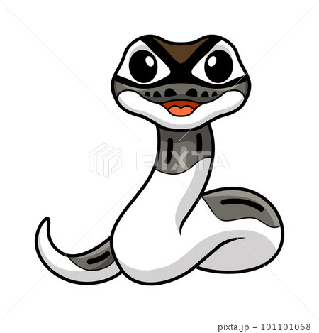 Cute Ball Python Drawing