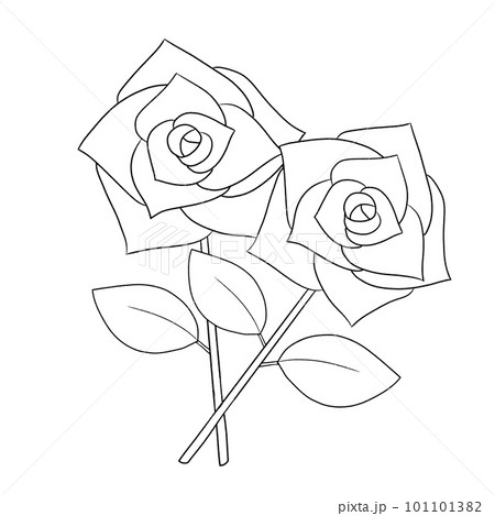 Two Roses Outline