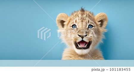 cute adorable lion cub smiling and isolated on...のイラスト素材 [101183455 ...