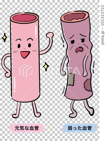 healthy and weak blood vessels - Stock Illustration [101323722] - PIXTA