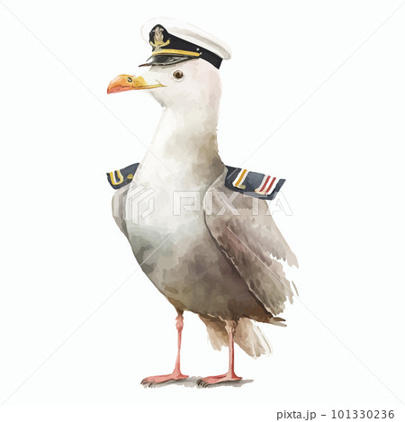 Seagull dressed as a captain in 3d style....のイラスト素材 [101330236] - PIXTA