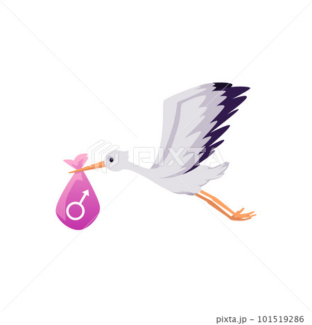 Flying stork holding pink bag with girl sign in...のイラスト素材 [101519286 ...