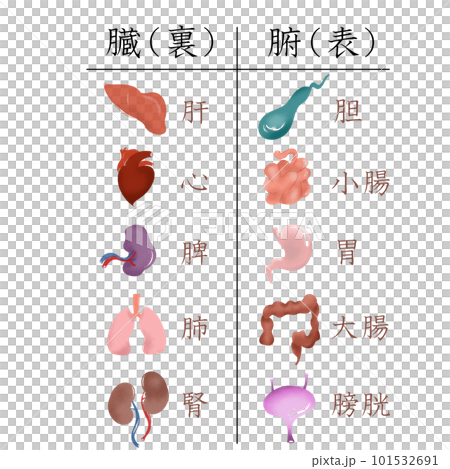 An illustration showing the relationship... - Stock Illustration ...