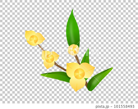 National flower of Cambodia, Romduol flower - Stock Illustration ...