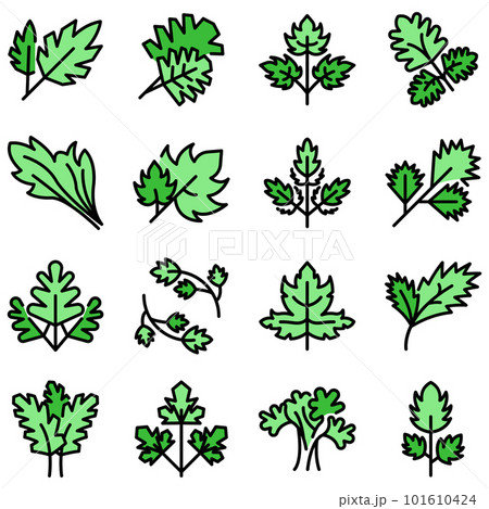 Parsley icons set. Outline set of parsley...のイラスト素材 [101610424] - PIXTA