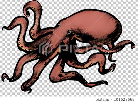 Realistic Octopus Painting