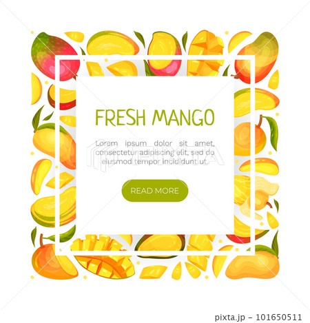 Ripe Mango Banner Design with Bright Tropical...のイラスト素材 [101650511] - PIXTA