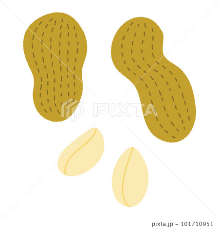 Peanut Shell Clipart