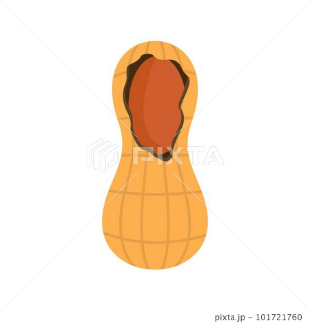 Crack peanut icon. Flat illustration of crack...のイラスト素材 [101721760] - PIXTA