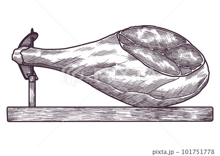Ham Drawing