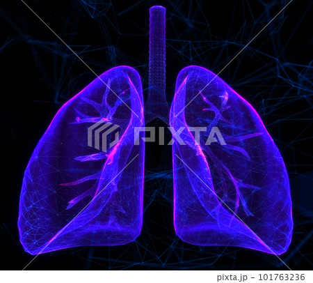 Glowing human lungs made of neon particles....のイラスト素材 [101763236] - PIXTA