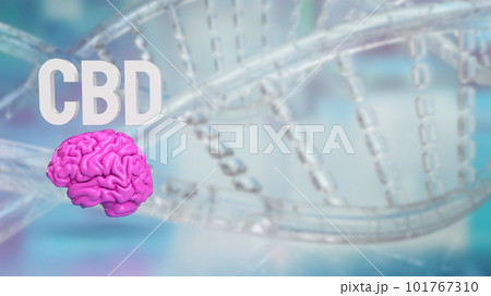 Brain and cbd text for medical or sci concept...のイラスト素材 [101767310] - PIXTA