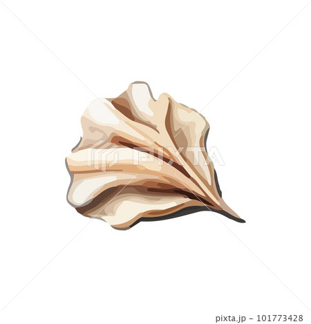 Vector Seashell watercolor illustration. Hand...のイラスト素材 [101773428] - PIXTA