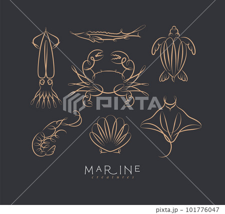 Filigree swirl marine creatures blackのイラスト素材 [101776047] - PIXTA