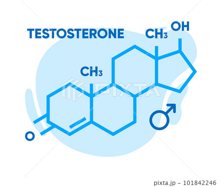 Symbol of testosterone. Skeletal formula logo....のイラスト素材 [101842246 ...
