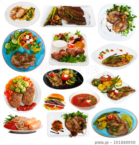 Collection of meals from pork and vealの写真素材 [101880050] - PIXTA
