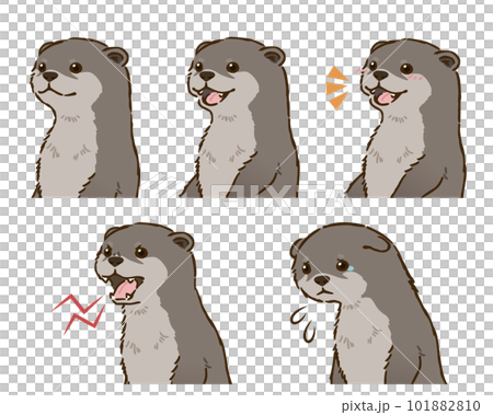 Otter facial expression set - Stock Illustration [101882810] - PIXTA