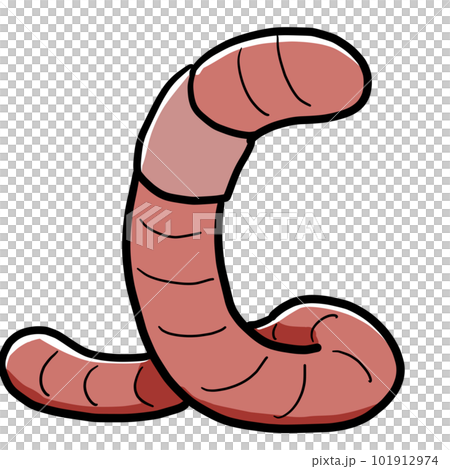Illustration of a simple and realistic earthworm - Stock Illustration ...