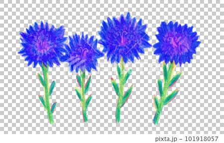 flower crayon illustration - Stock Illustration [101918057] - PIXTA