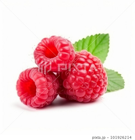 Fresh raspberry isolated. Illustration AI...のイラスト素材 [101926214] - PIXTA