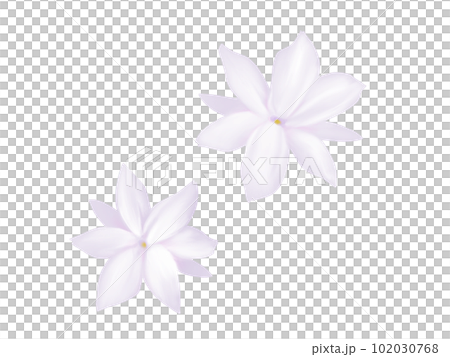 Illustration of two realistic Pikake... - Stock Illustration [102030768 ...