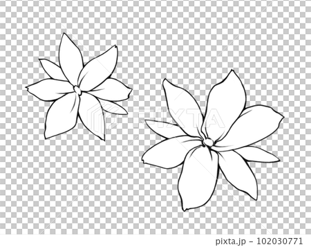Line drawing illustration of a simple... - Stock Illustration ...