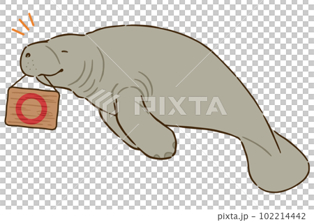 Manatee with a circle mark - Stock Illustration [102214442] - PIXTA