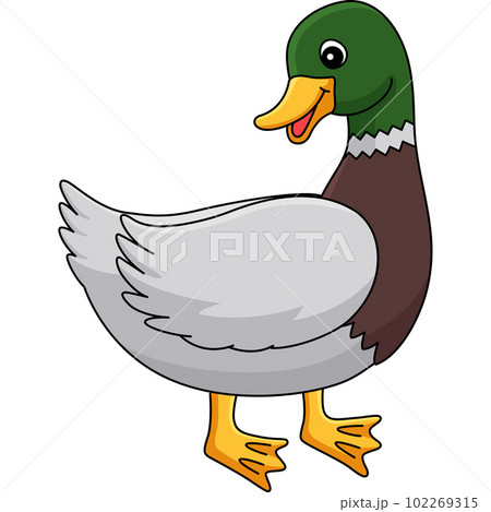 Duck Cartoon Colored Clipart Illustrationのイラスト素材 [102269315] - PIXTA