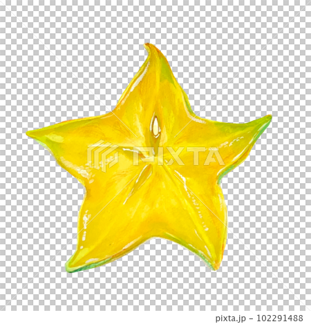 Star Fruit Cross Section