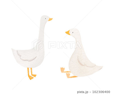 Beautiful stock illustration with hand drawn...のイラスト素材 [102306400] - PIXTA