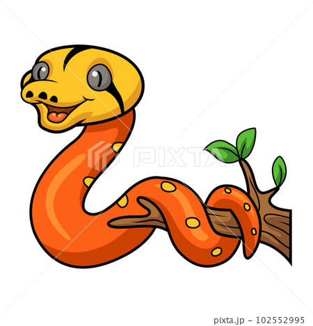 Cute albino golden child reticulated python...のイラスト素材 [102552995] - PIXTA