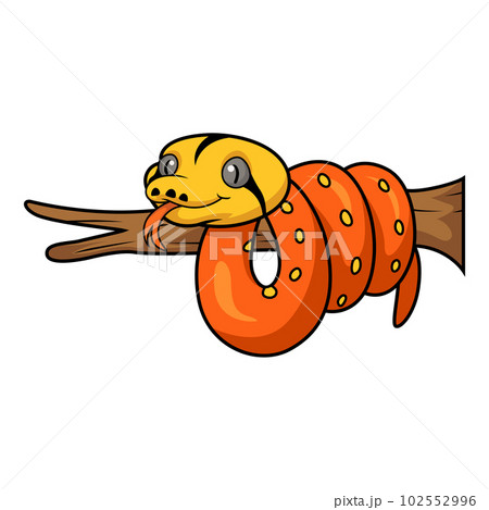 Cute albino golden child reticulated python...のイラスト素材 [102552996] - PIXTA