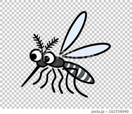 Flying Mosquito Drawing Children Drawing Insects Vector Images