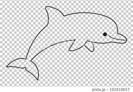 Dolphin vector line drawing illustration - Stock Illustration ...
