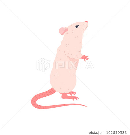 Standing Jumping Mouse