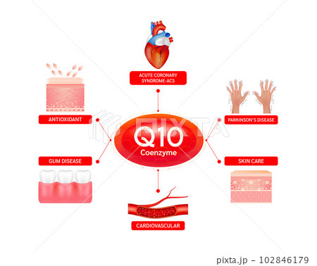 Essential vitamins and minerals for humans....のイラスト素材 [102846179] - PIXTA