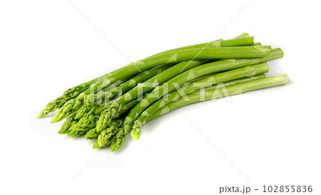 Raw Garden Asparagus Fresh Green Spring. 102855836 PIXTA