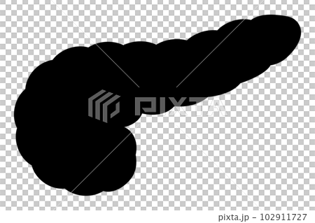 human pancreas silhouette - Stock Illustration [102911727] - PIXTA