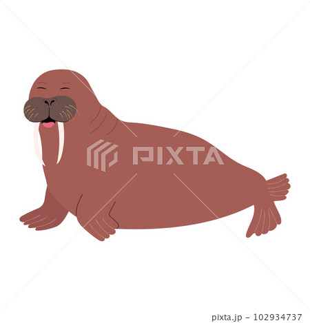 Cartoon smiling walrus isolated on white...のイラスト素材 [102934737] - PIXTA