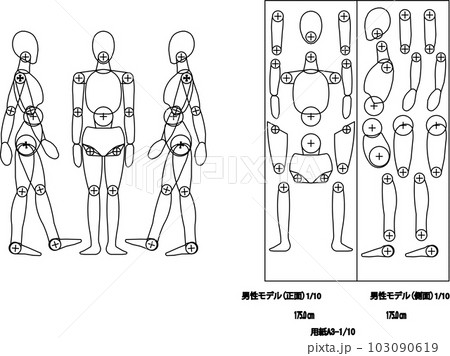 男性身長175cmのイラスト素材 [103090619] - PIXTA