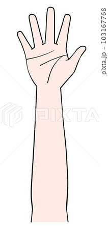 Left Hand Open Drawing