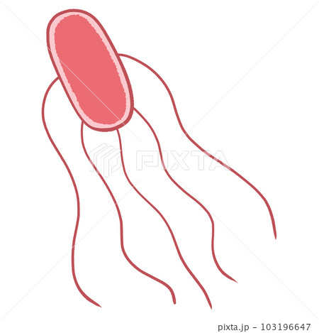 腸管出血性大腸菌O157のイラストのイラスト素材 [103196647] - PIXTA