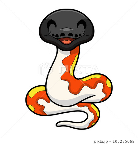 Cute red blood python cartoonのイラスト素材 [103255668] - PIXTA